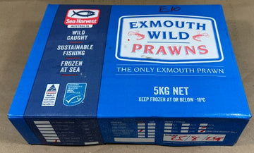 Cooked Endeavour Prawns – Seafood At Home