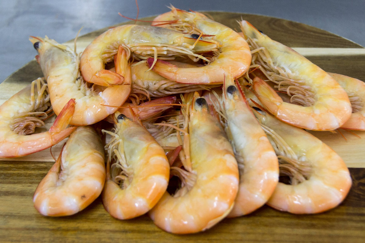 Cooked Endeavour Prawns – Seafood At Home