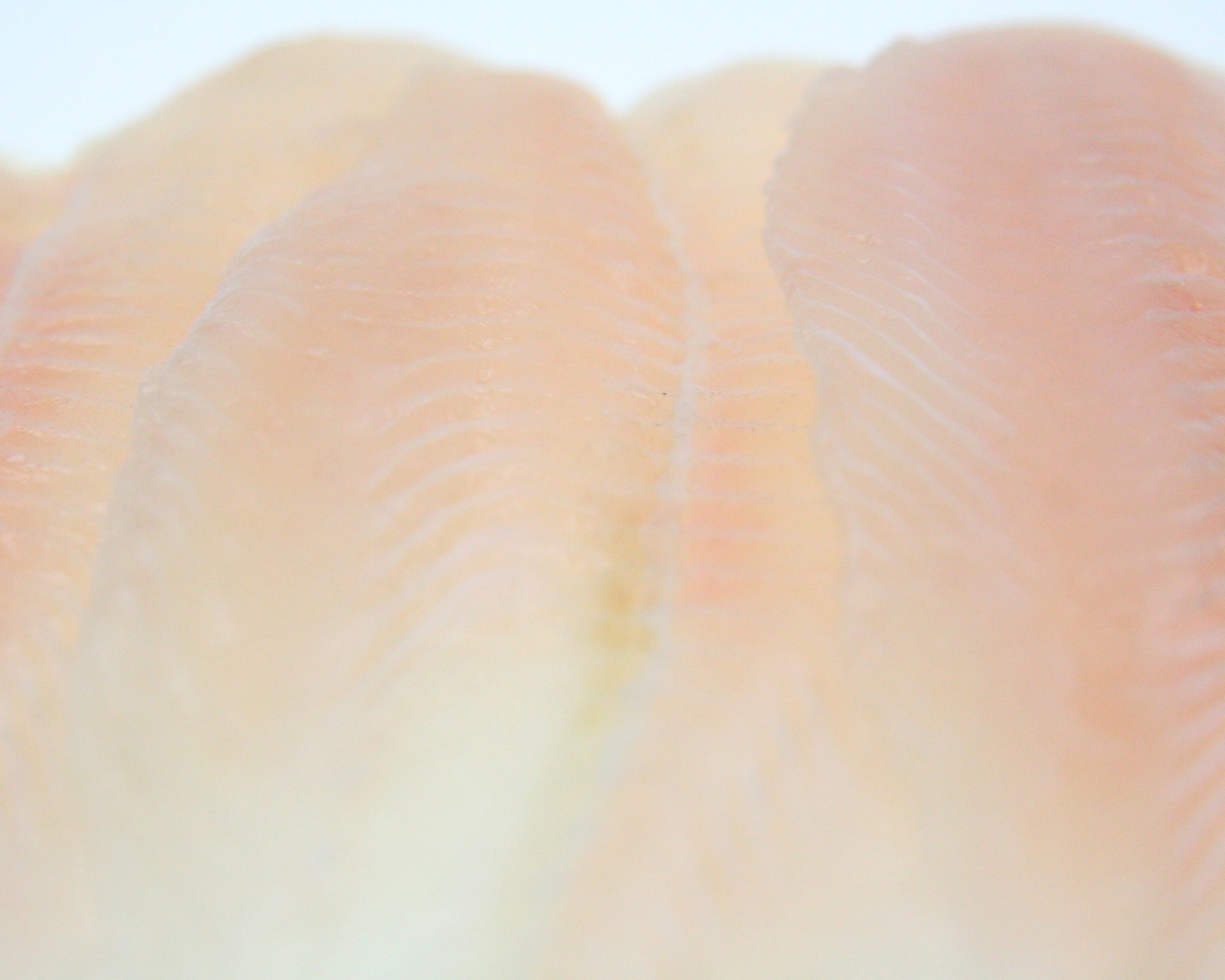 Skinless Basa Fillets – Seafood At Home