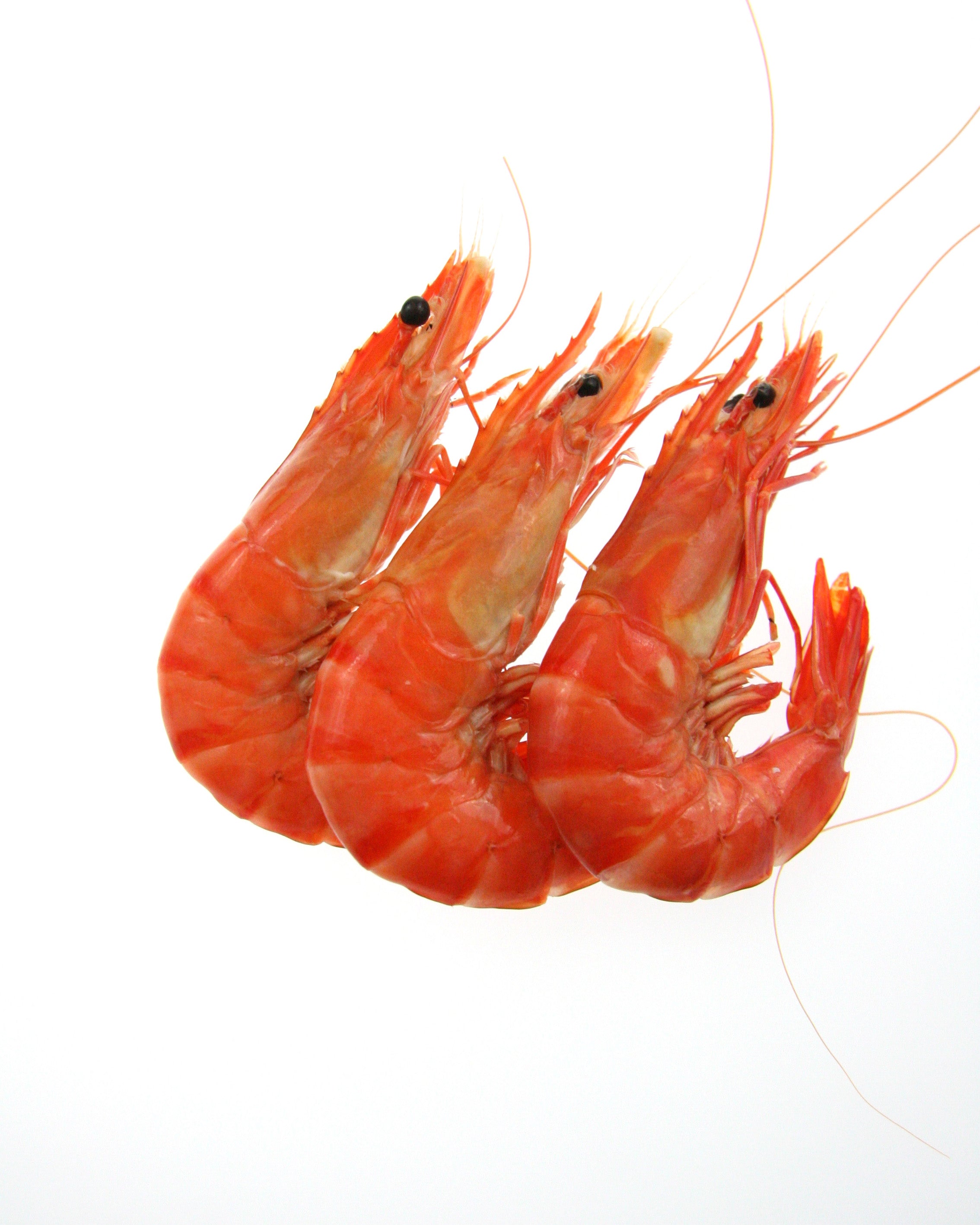 Cooked Tiger Prawns – Seafood At Home