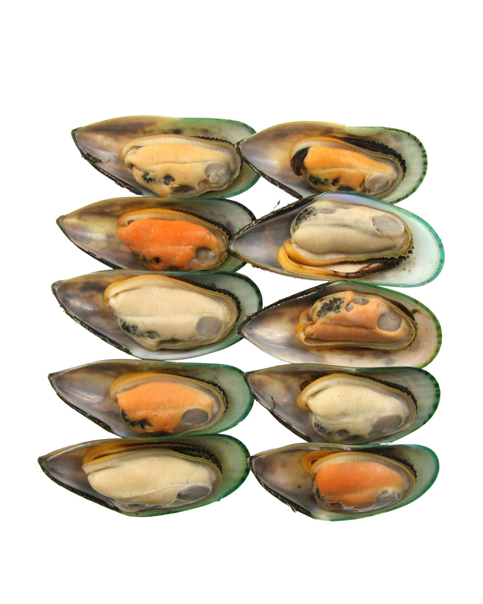 United Fish Co Greenshell™ Halfshell Mussels – Seafood At Home