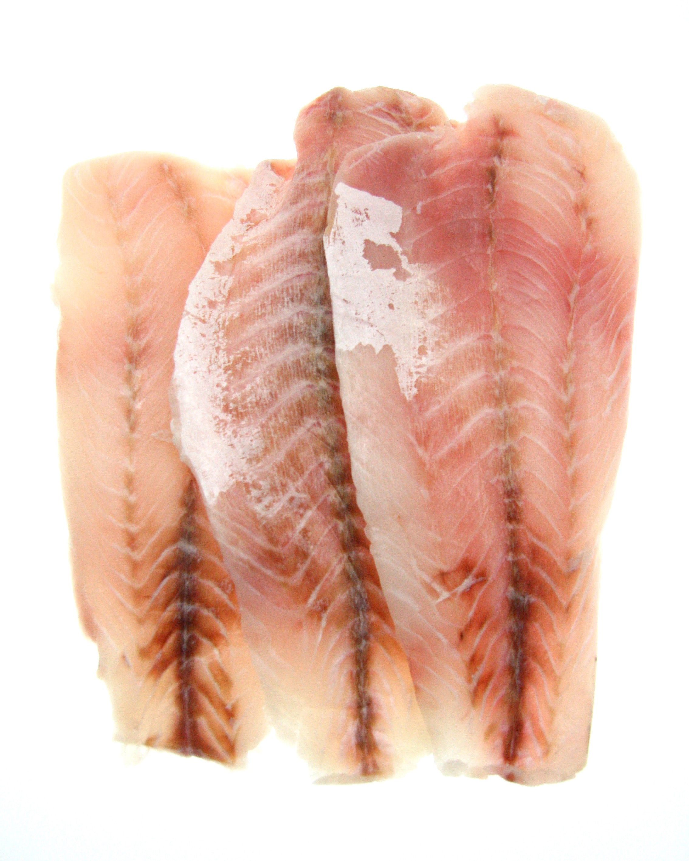 Nile Perch Fillet