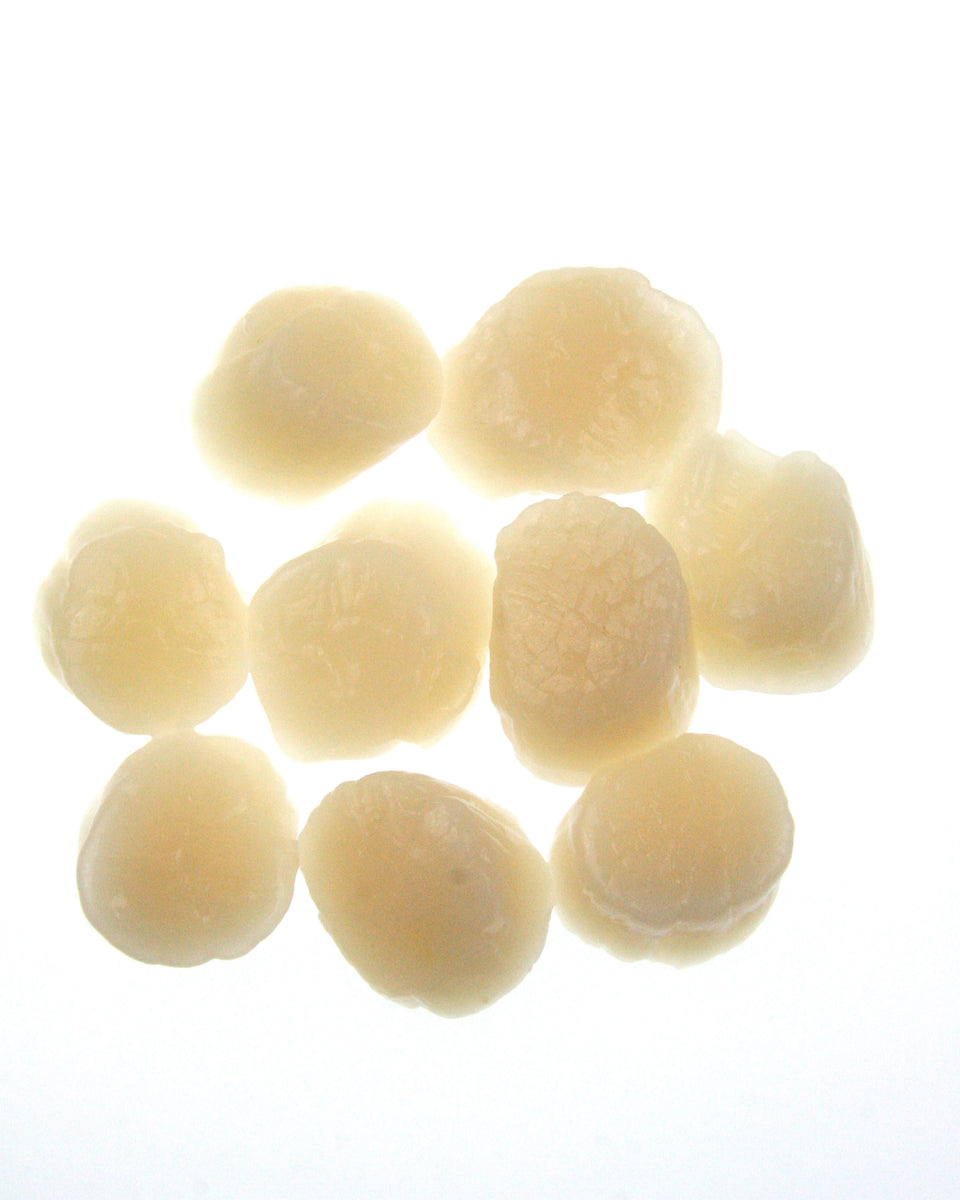 Roe Off Scallops – Seafood At Home