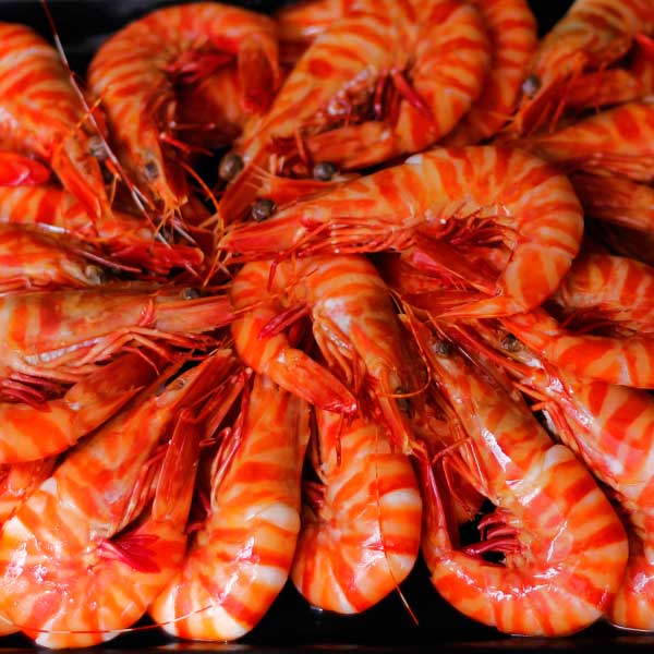 Prawns – Seafood At Home